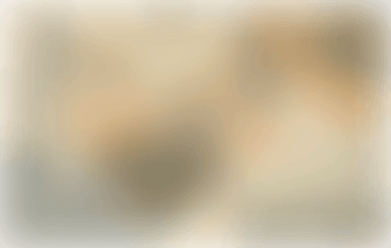 How to Choose the Perfect Library Racks for Your Space